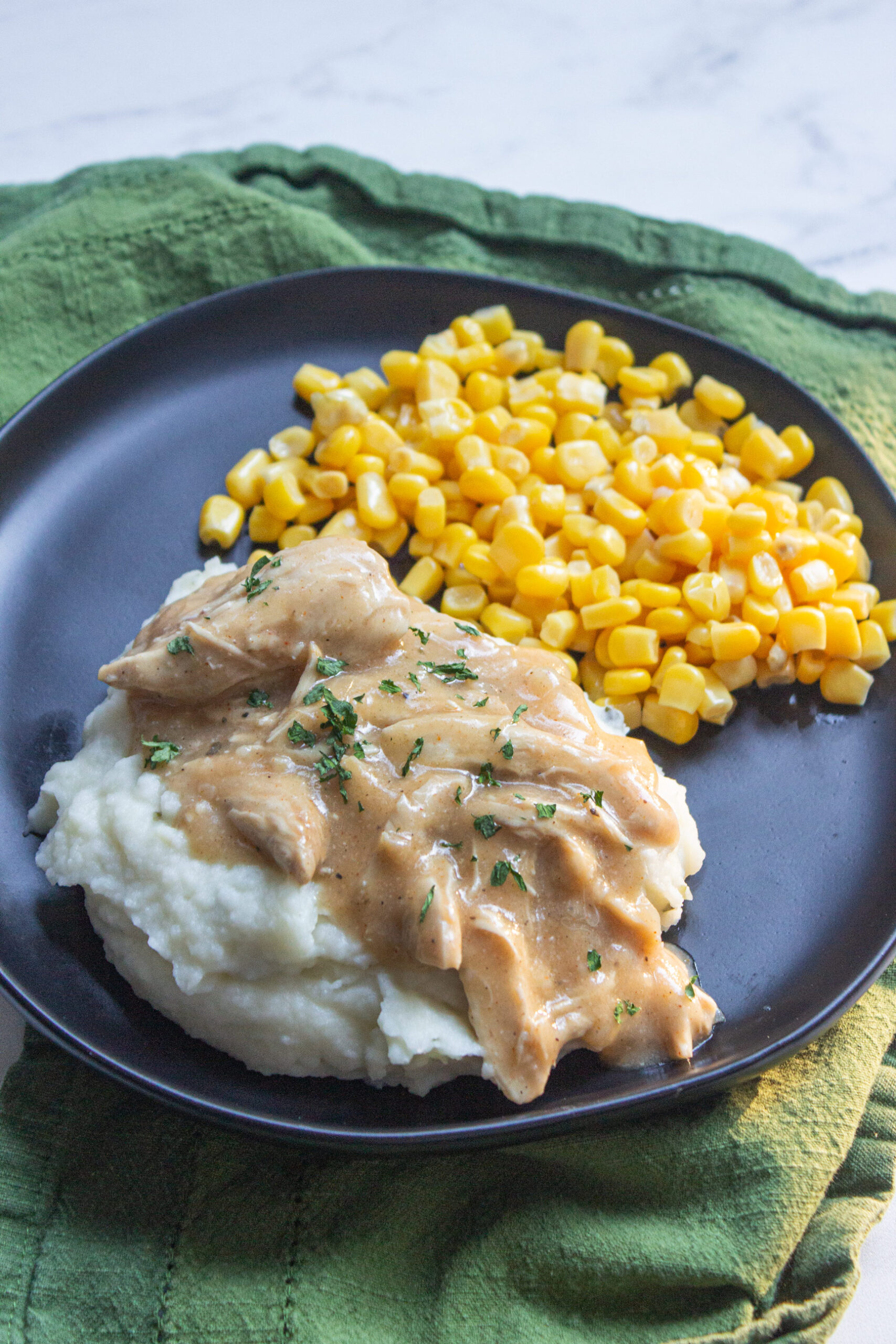 Chicken and Gravy - Coco and Ash